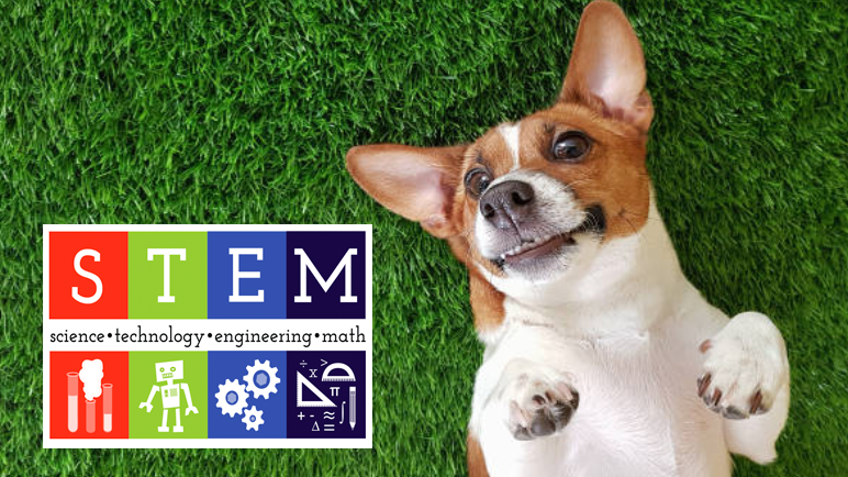 STEM for Dogs - McSweeney’s Internet Tendency